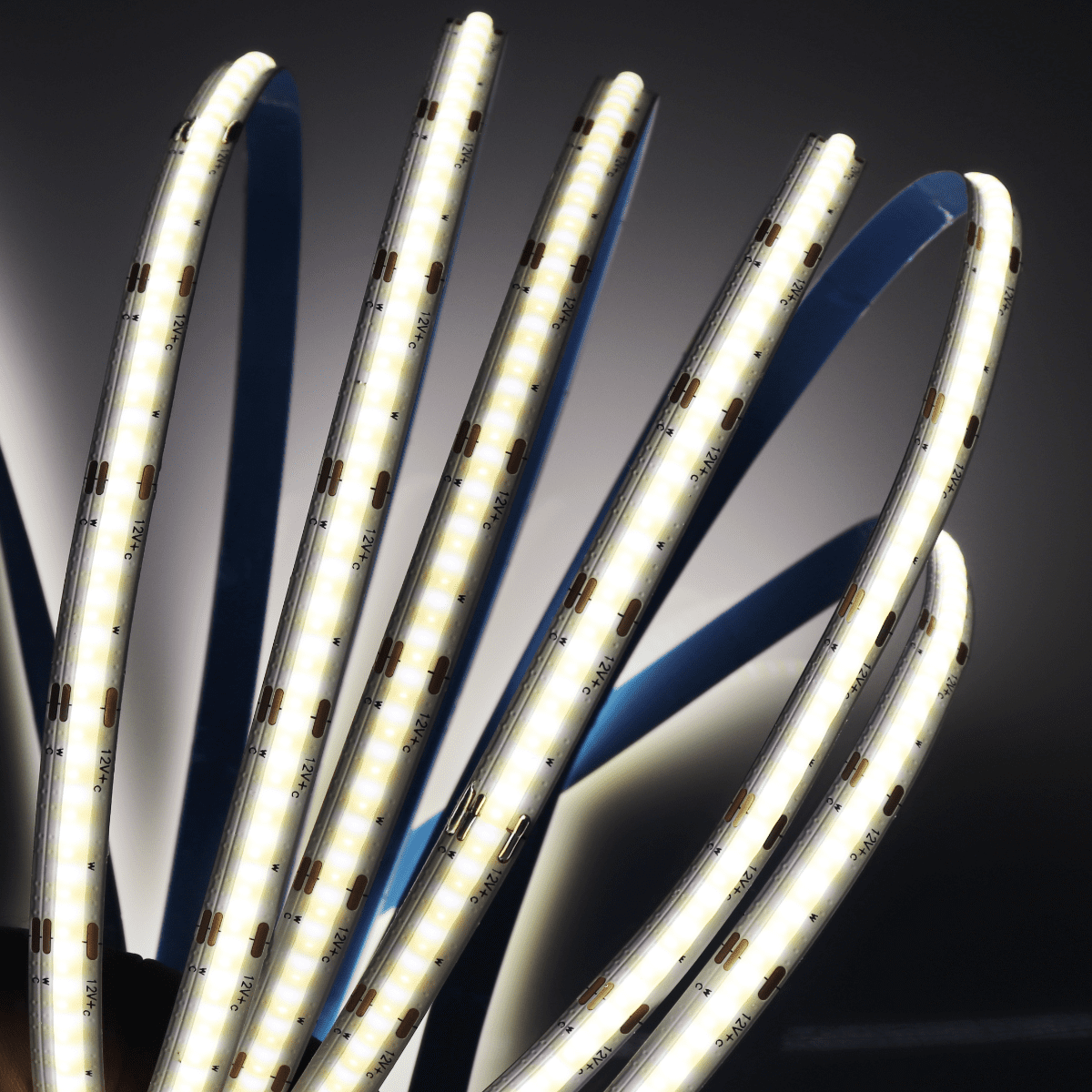 COB Led Strip Lights – LED Strip Lights Manufacturer | Tuya Wi-Fi Smart ...